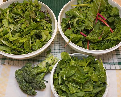 Bitter Broccoli - OtherWords